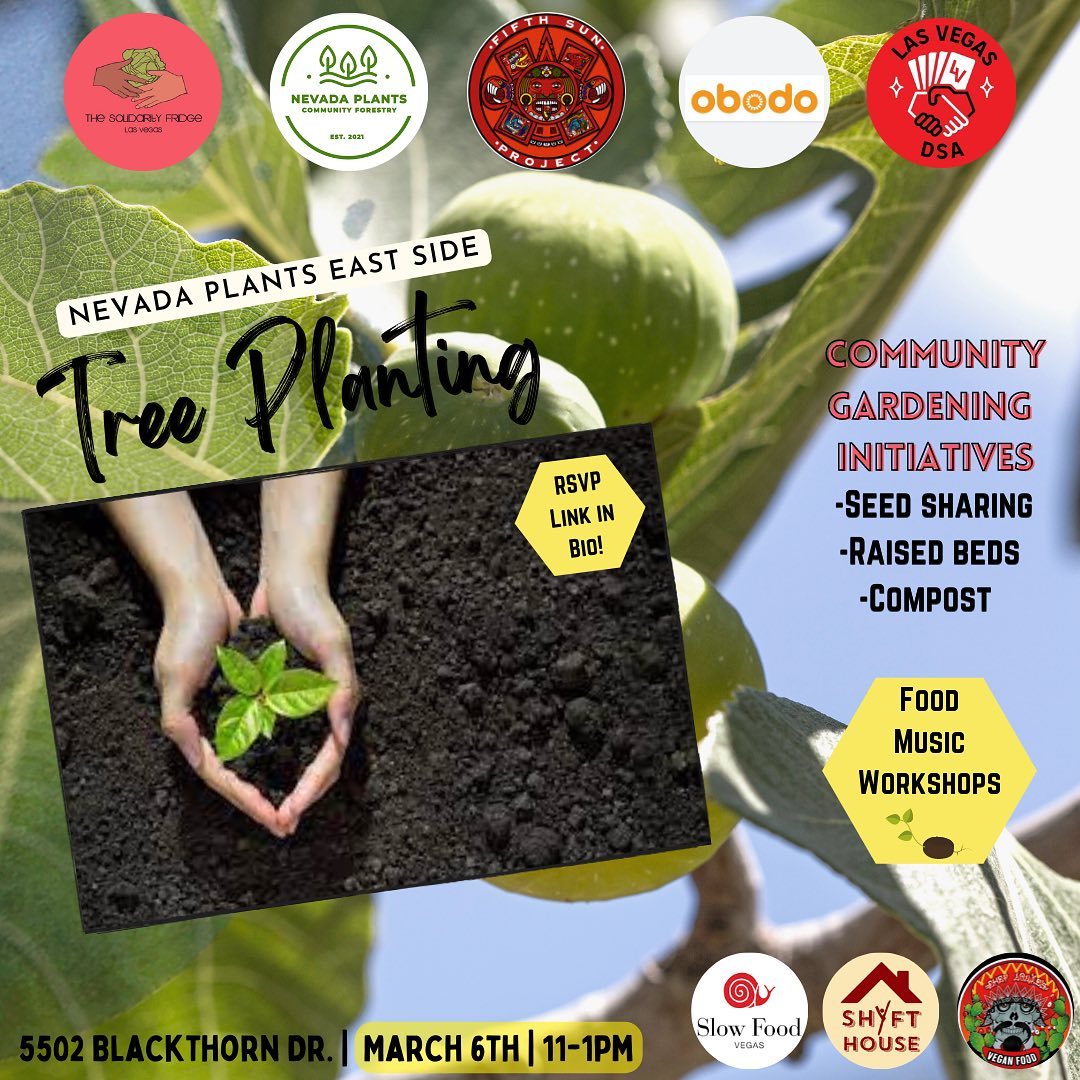 Nevada Plants East Side Tree Planting - Las Vegas DSA